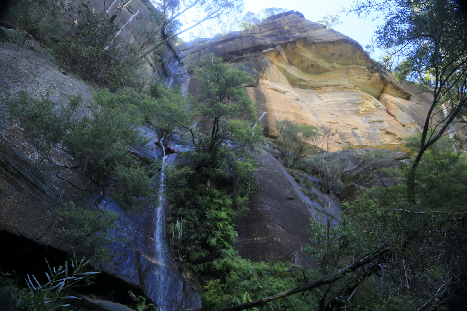 Glow Worm Tunnel from Newnes via the old Newnes railway | Hiking the World