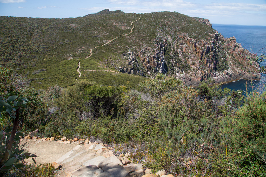 Three Capes in A Day - the short version of the Free Capes walk ...