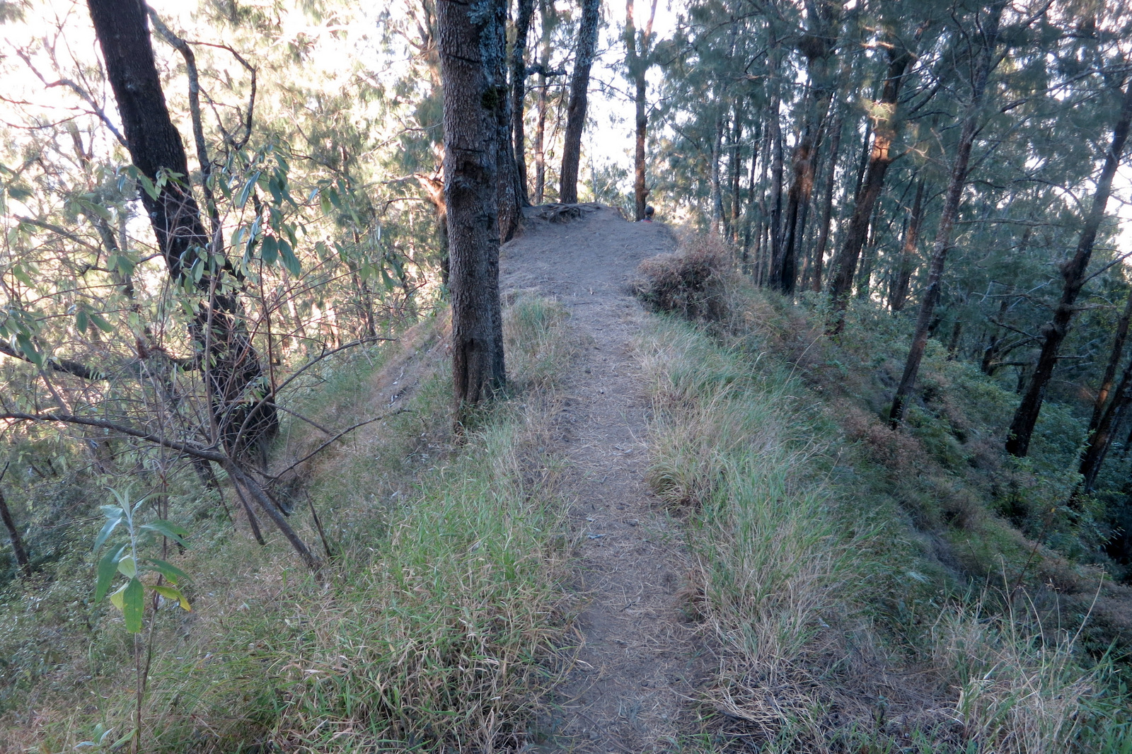 A tough hike to the Mount Agung summit in Bali | Hiking the World