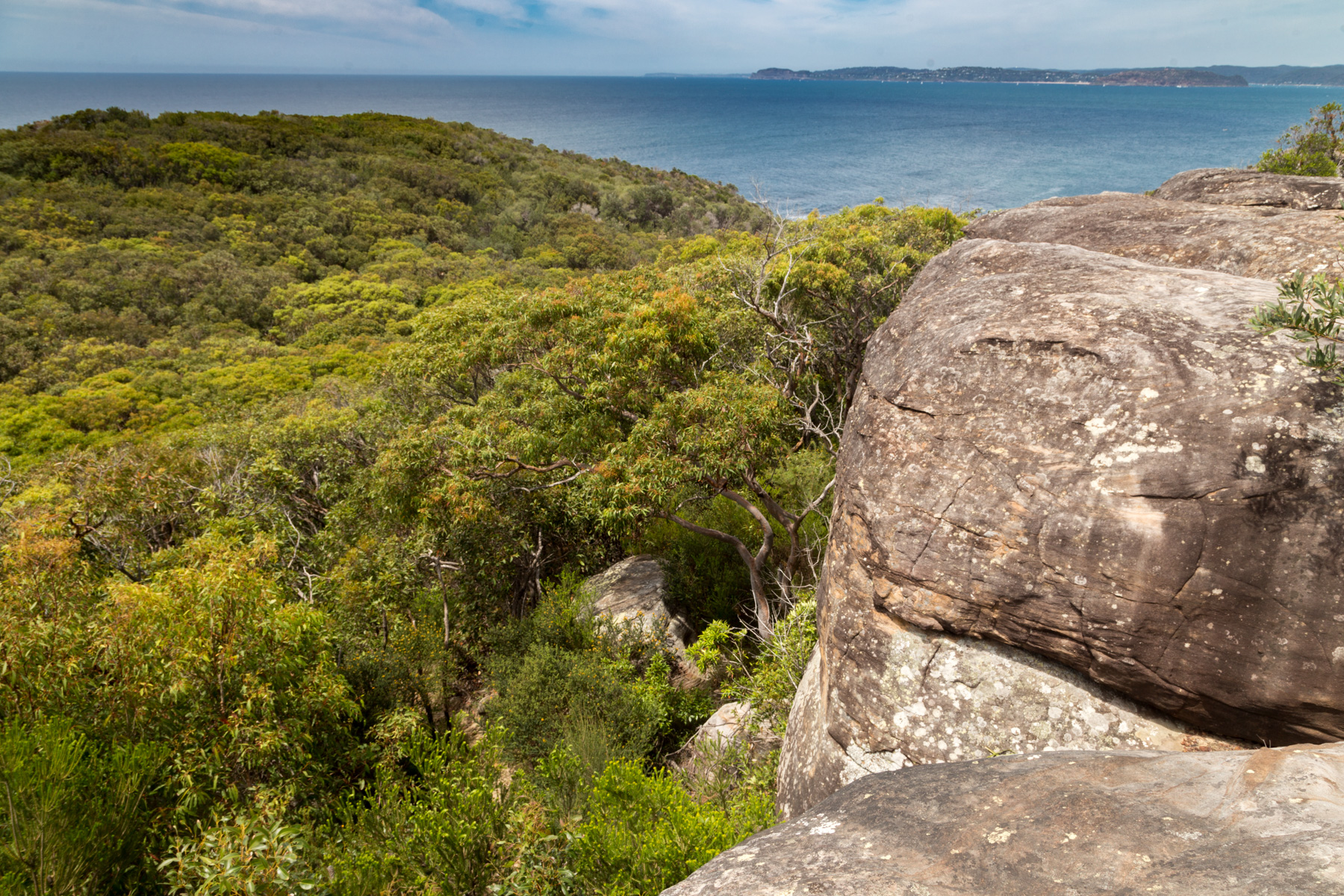 The unknown but stunning Bullimah Spur Loop in Bouddi NP | Hiking the World