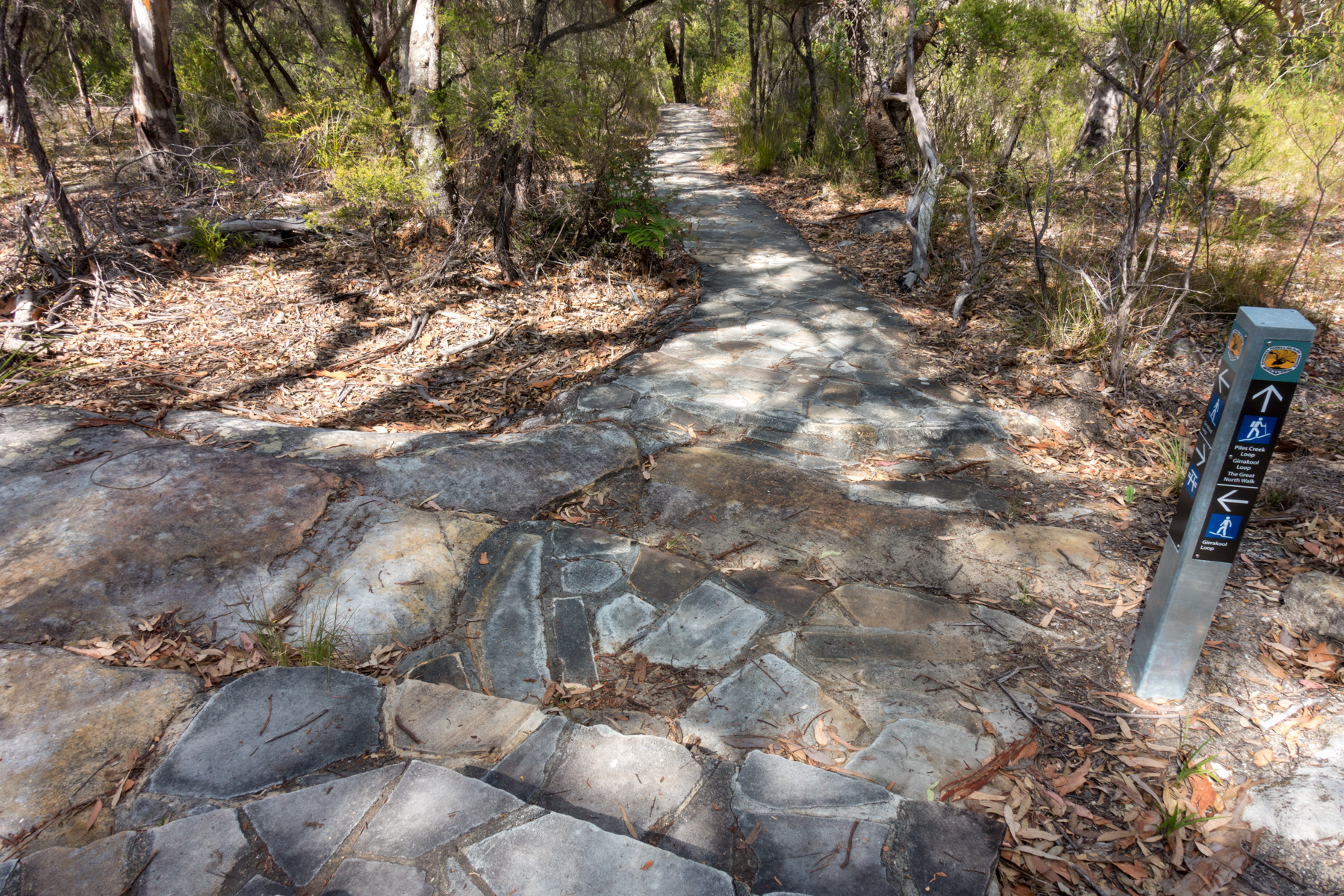The scenic Piles Creek Loop in Brisbane Water NP | Hiking the World