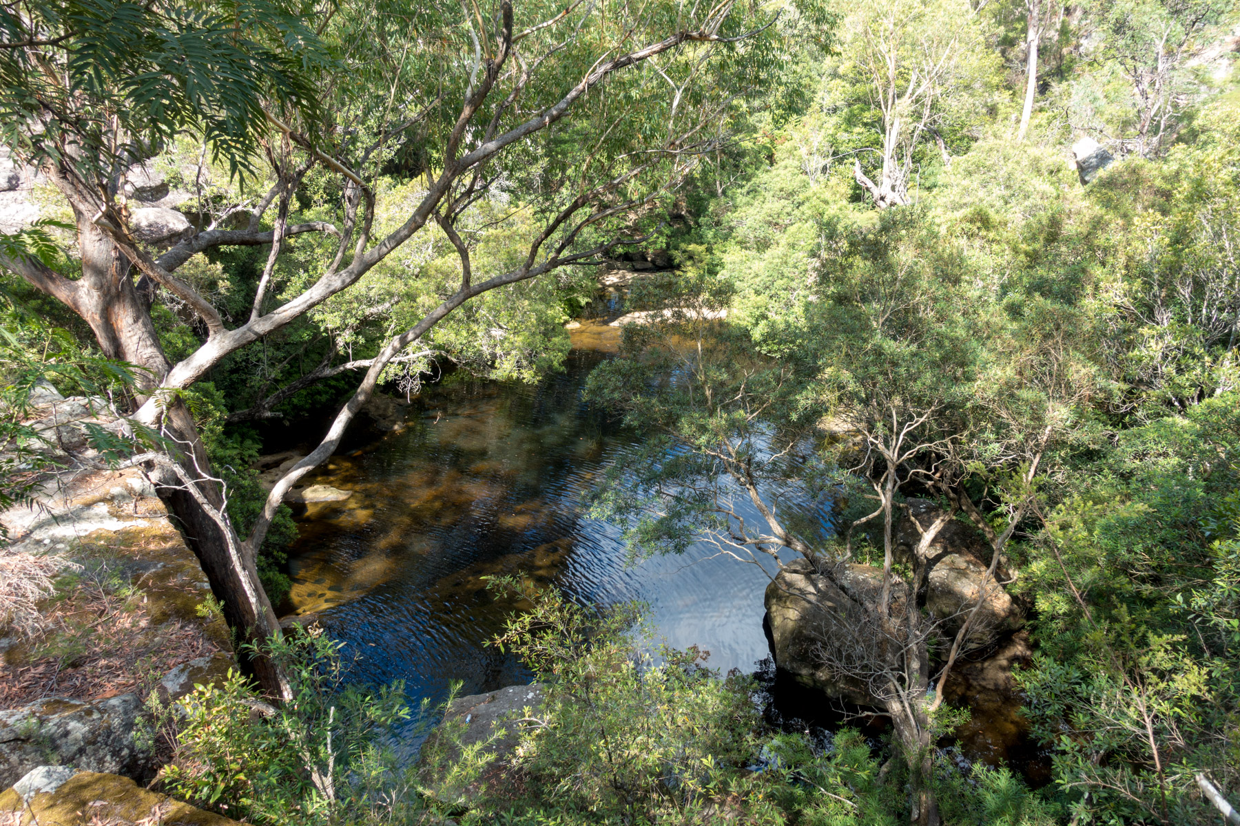 The scenic Piles Creek Loop in Brisbane Water NP | Hiking the World