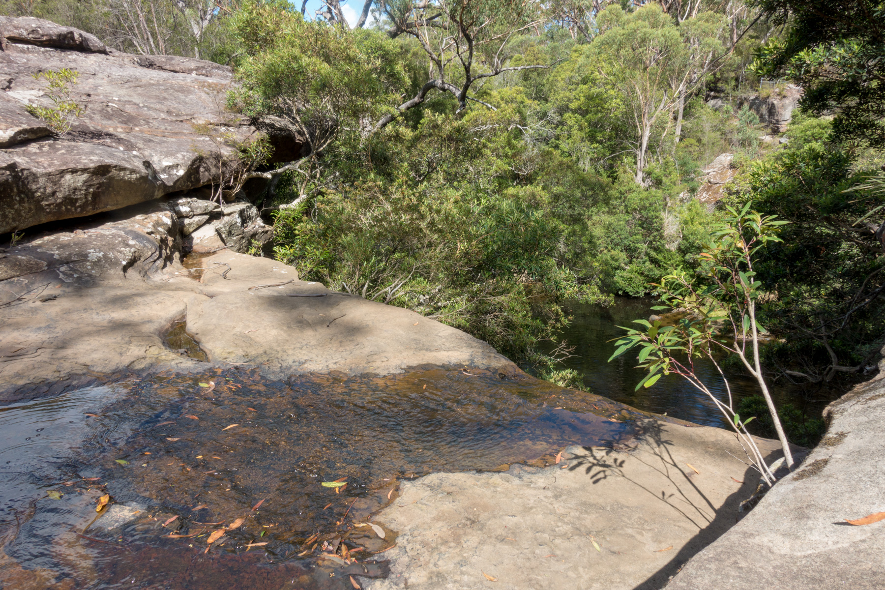 The scenic Piles Creek Loop in Brisbane Water NP | Hiking the World