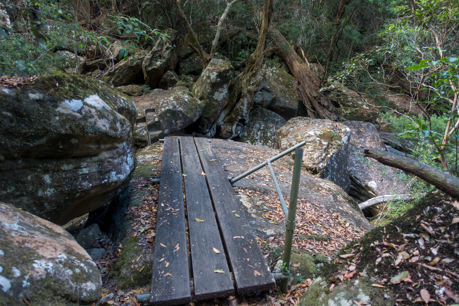 The scenic Piles Creek Loop in Brisbane Water NP | Hiking the World