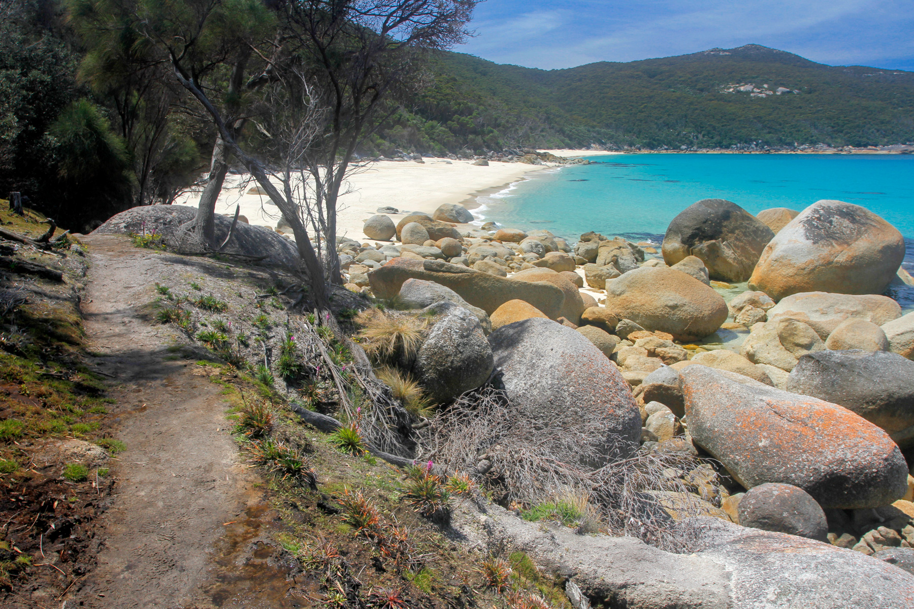 North Waterloo Bay - a remote Wilsons Prom beach | Hiking the World
