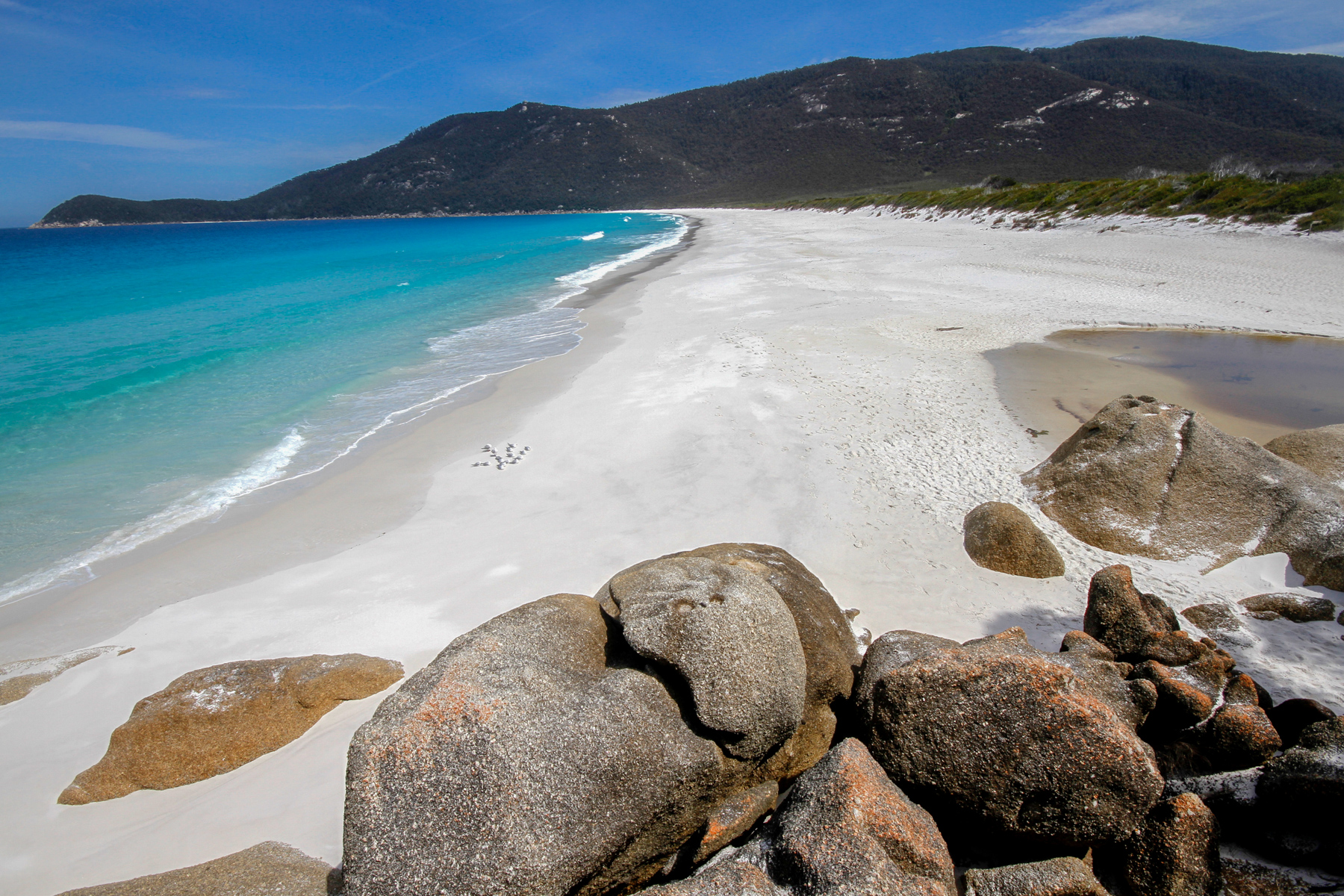 Waterloo Bay - the Wilsons Prom beach which no-one stops at! | Hiking ...