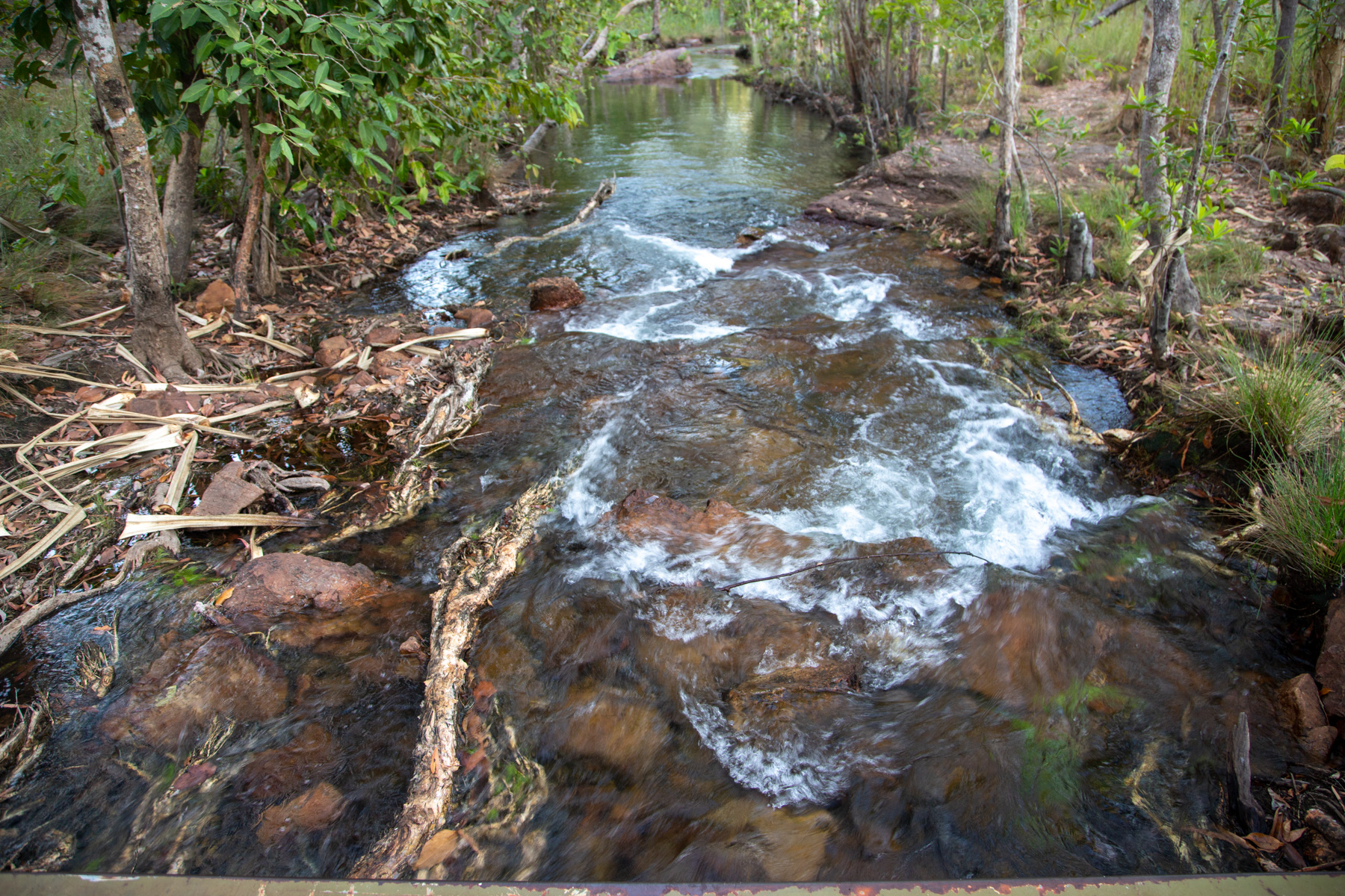 Bushfires and waterholes on the Litchfield Tabletop Track | Hiking the ...