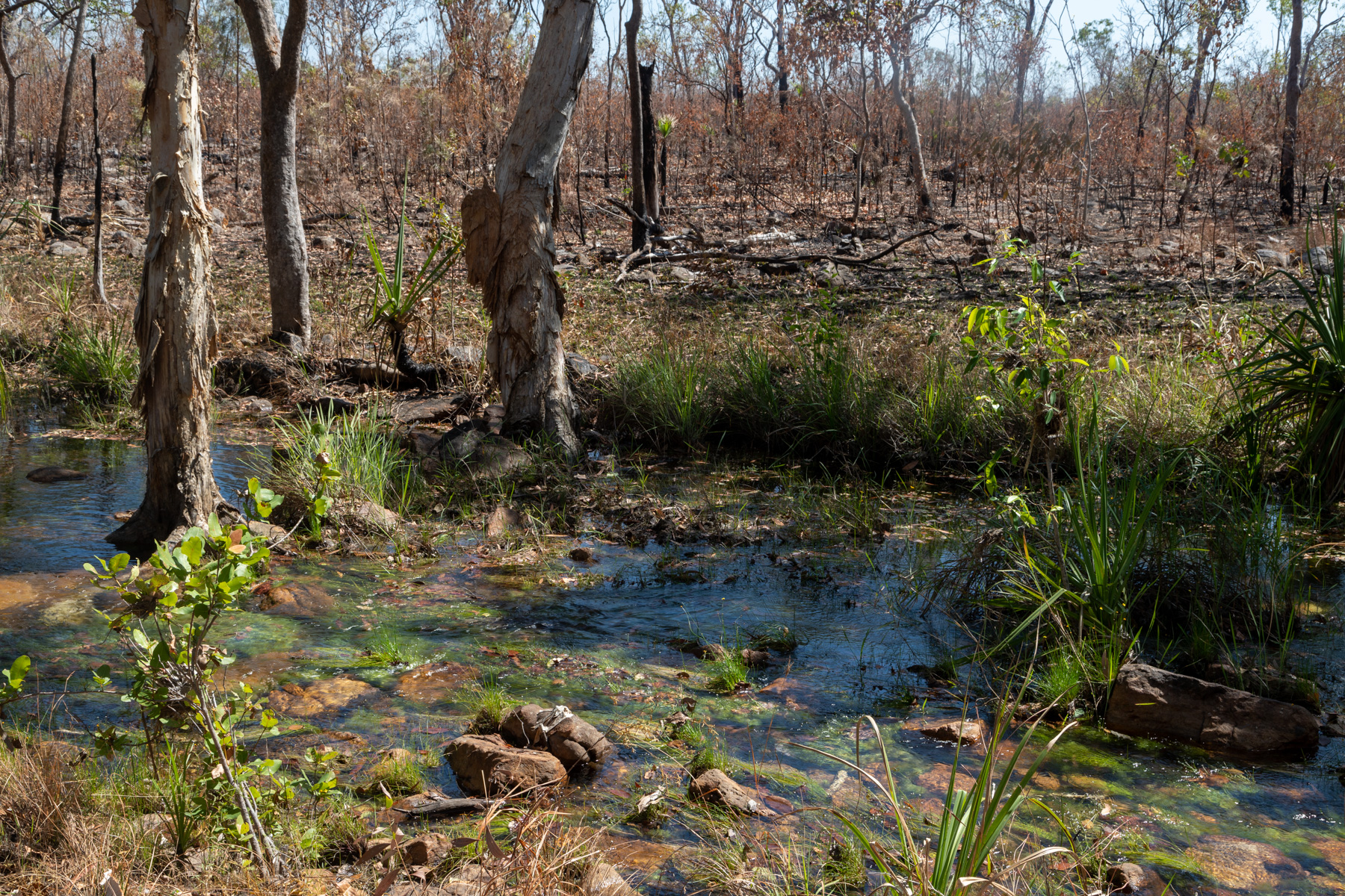 Bushfires and waterholes on the Litchfield Tabletop Track | Hiking the ...