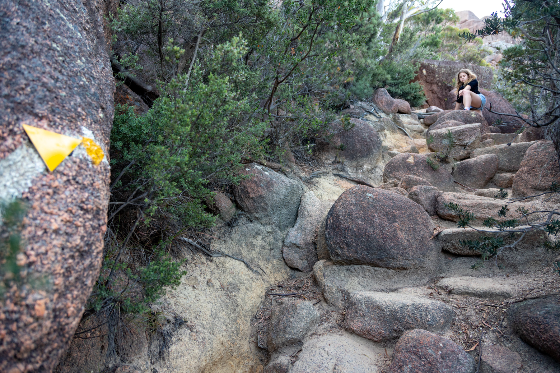 The steep Mount Amos hike reward with stunning views | Hiking the World