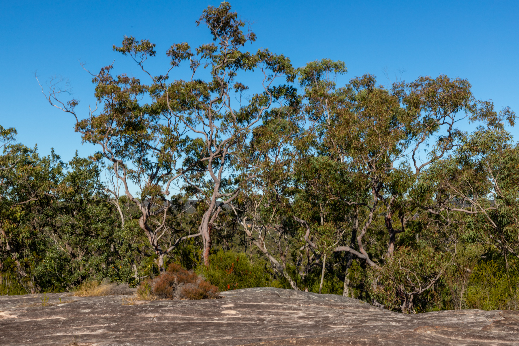 Wondabyne to Woy Woy via Pindar Cave and Mount Wondabyne | Hiking the World