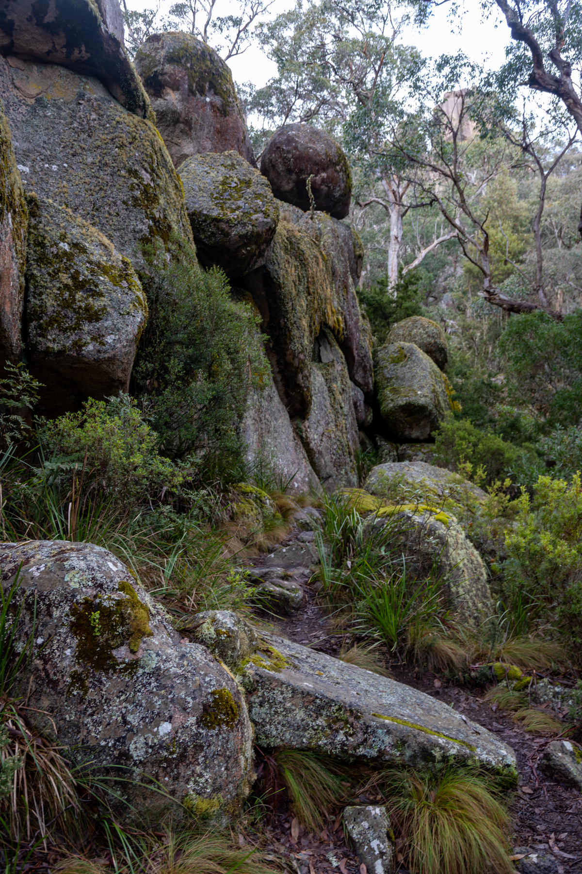 Cathedral Rock Walk | Hiking the World