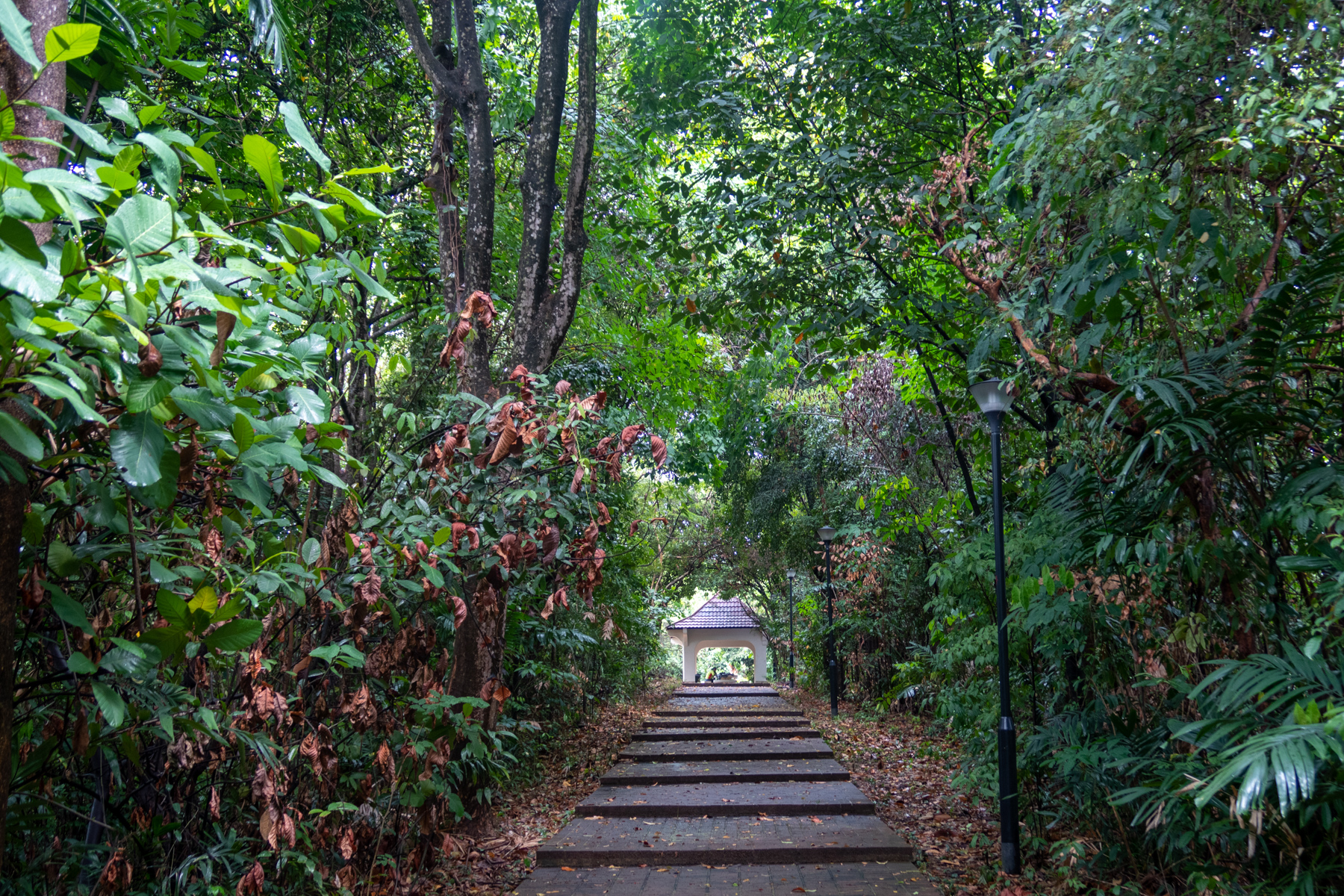 Southern Ridges Walk (Singapore) | Hiking the World