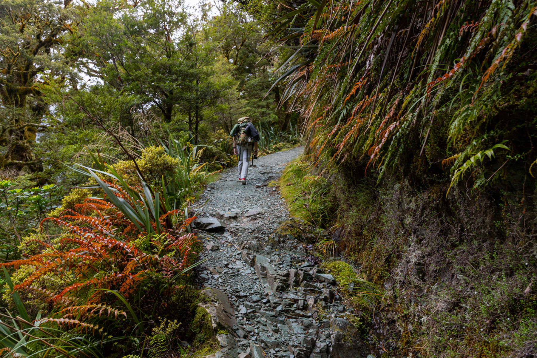 Routeburn Track in two days | Hiking the World