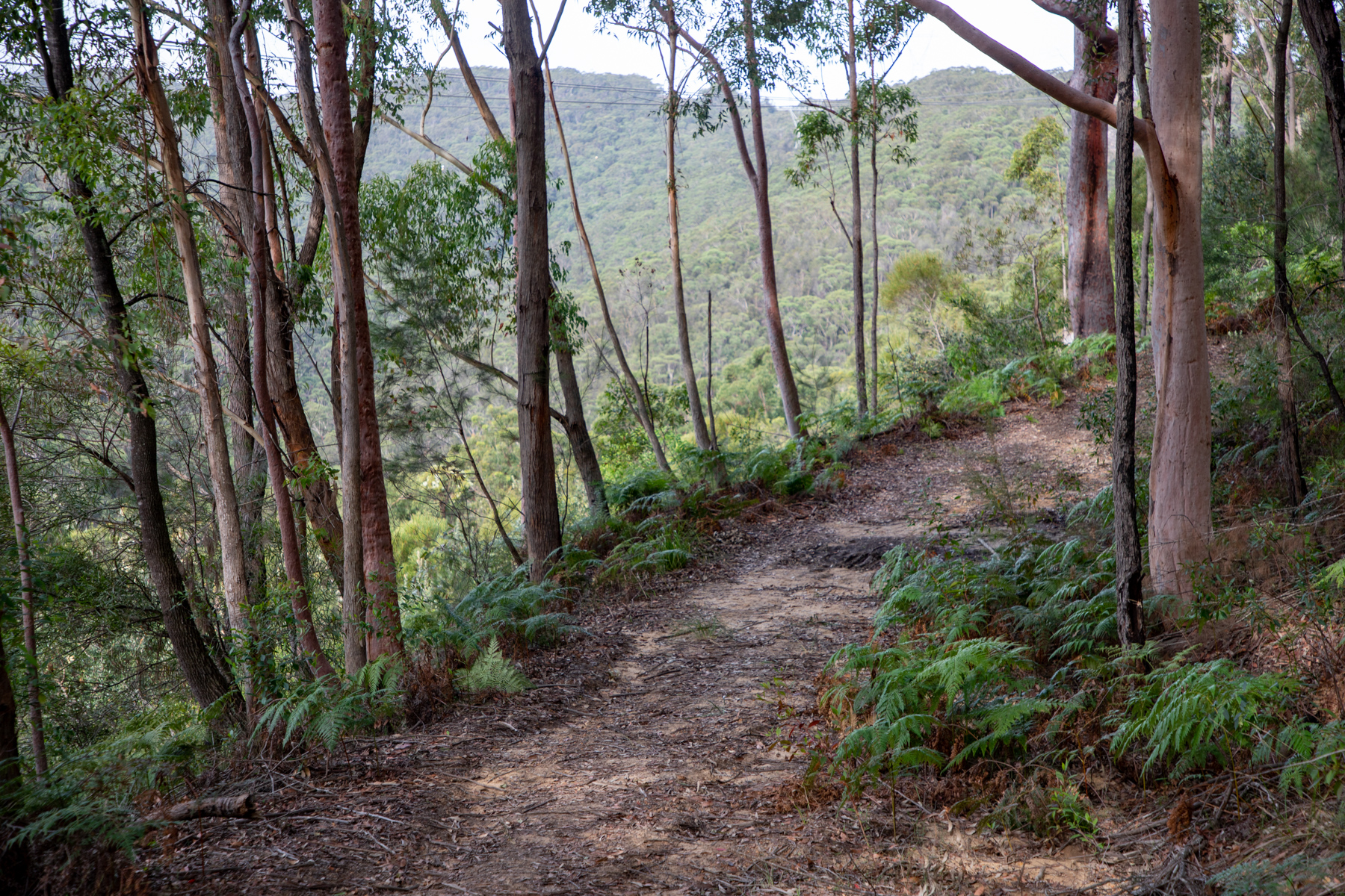 Christies Pool - an off-track bushwalk to a secluded pool | Hiking the ...