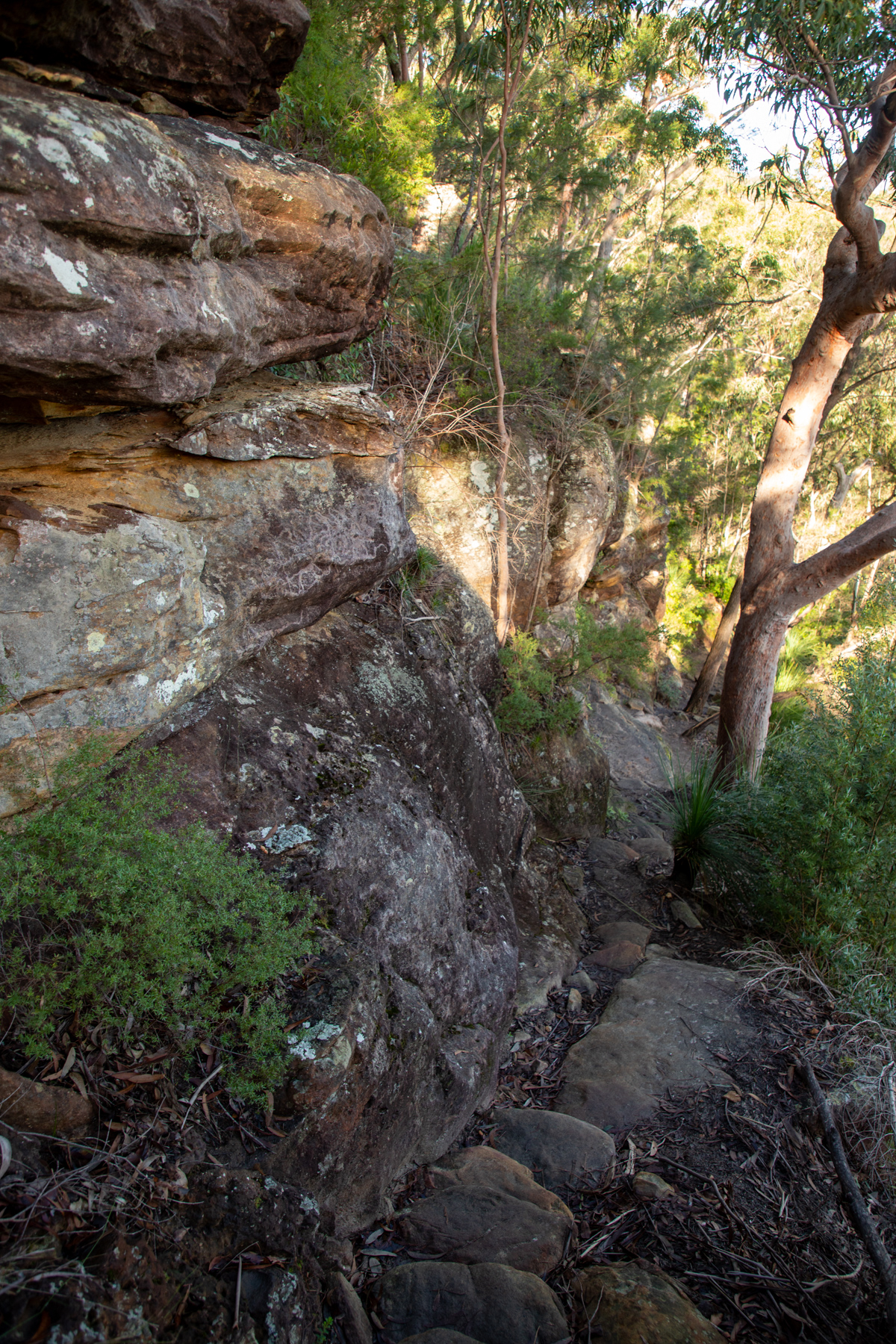 Berowra Heights Circuit | Hiking the World