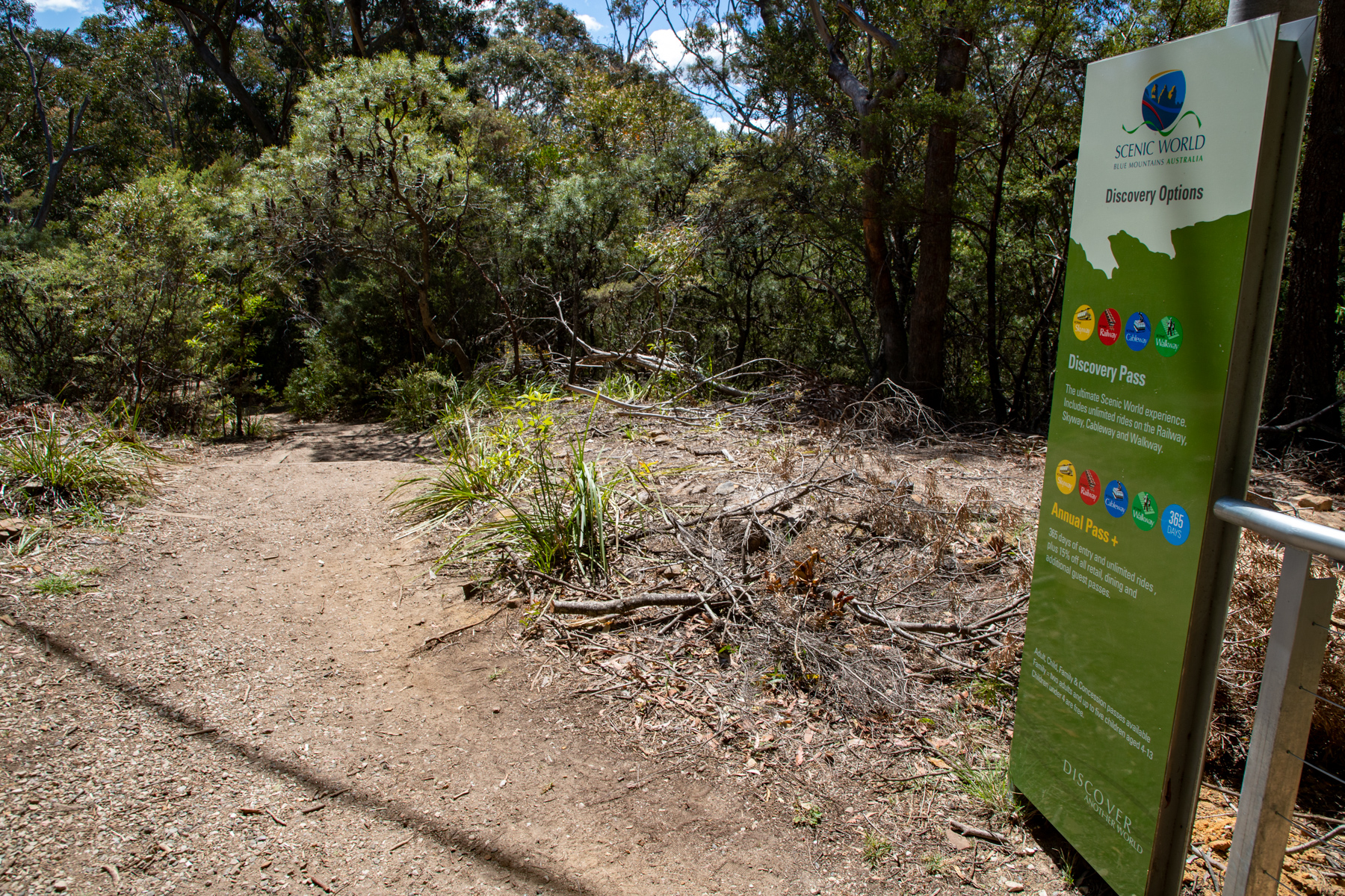Descending the Furber Steps in the Blue Mountains | Hiking the World