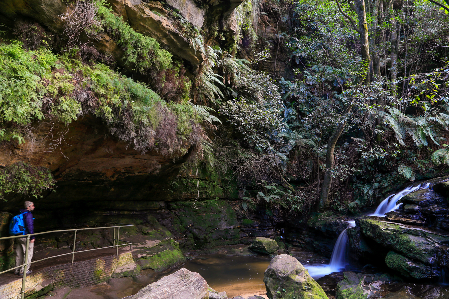 Chasing Waterfalls - a hike to the bottom of the Leura Cascades ...