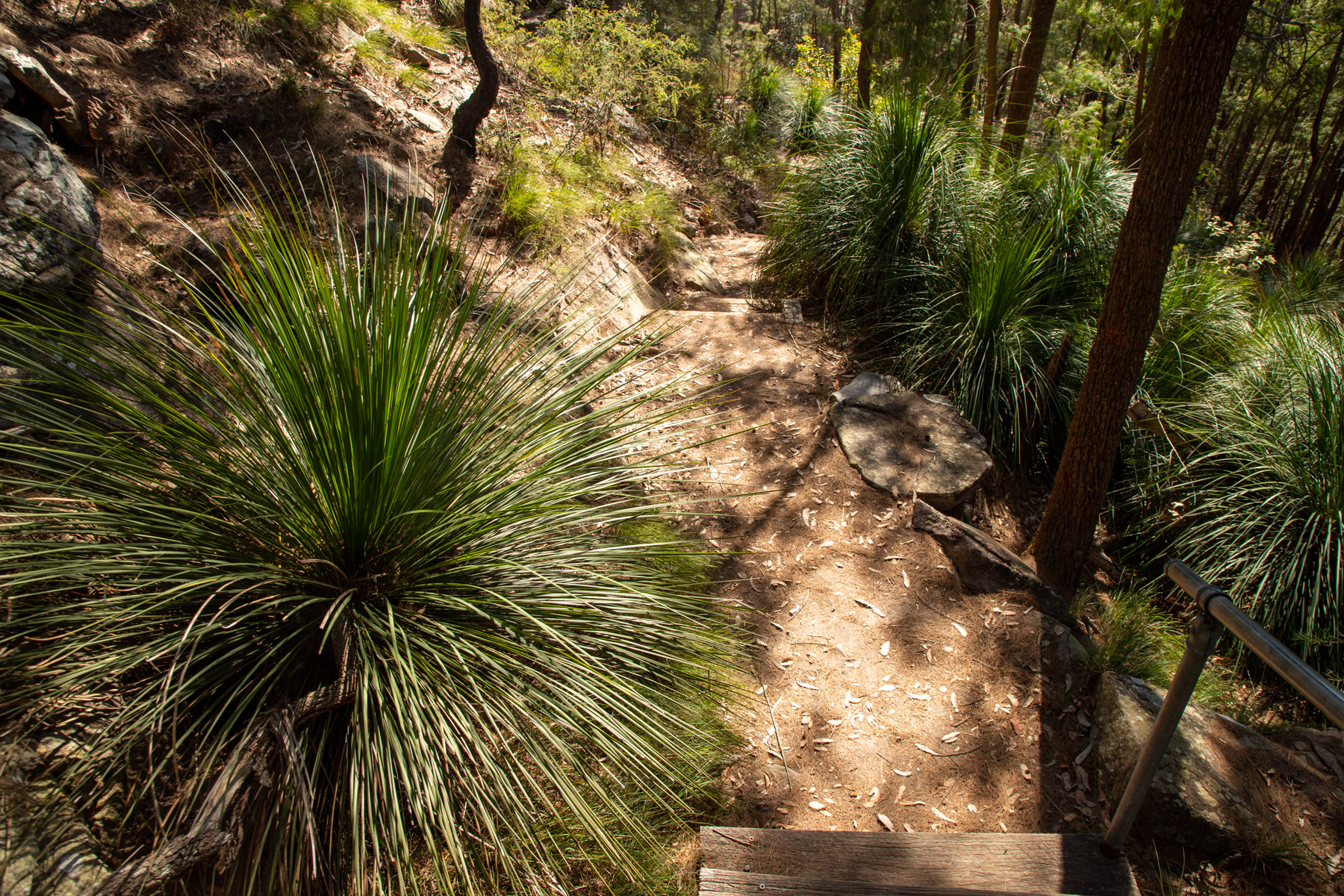 Flint and Steel Loop - an interesting West Head bushwalk | Hiking the World