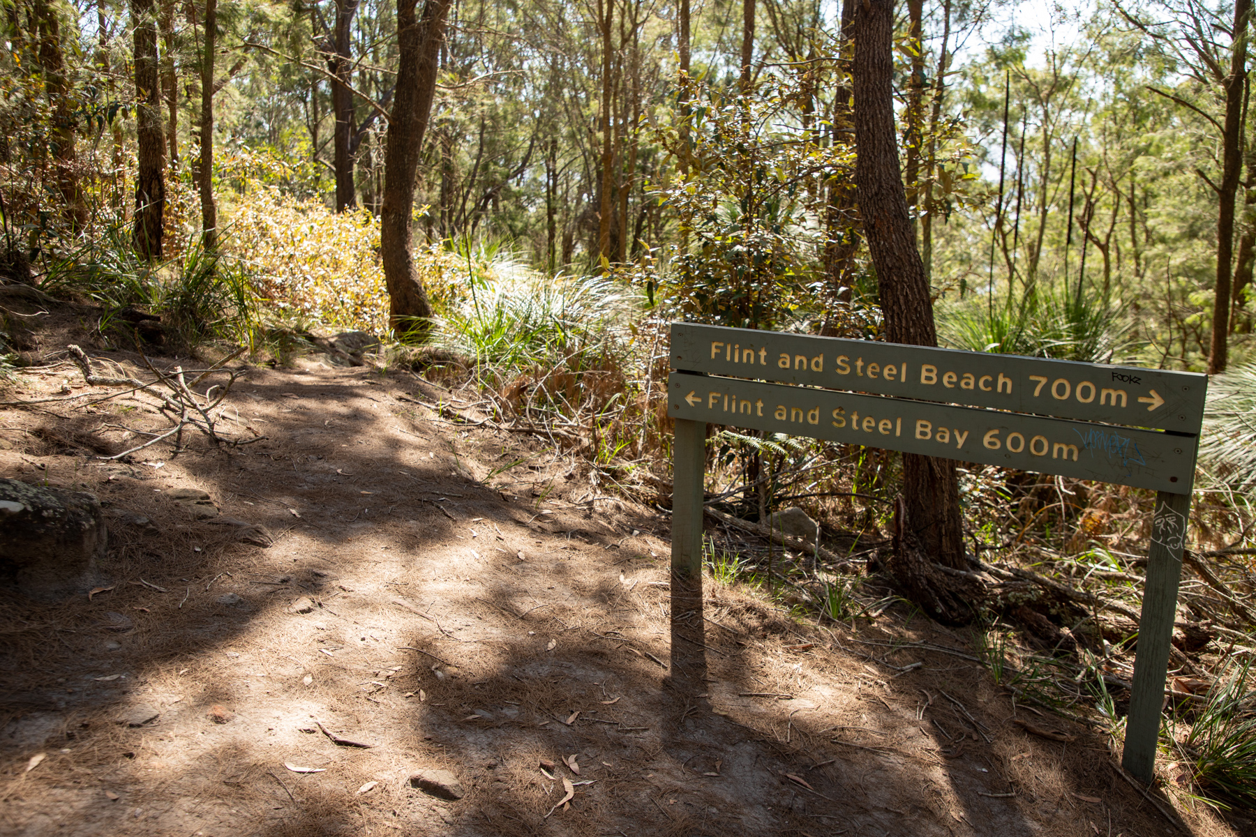 Flint and Steel Loop - an interesting West Head bushwalk | Hiking the World