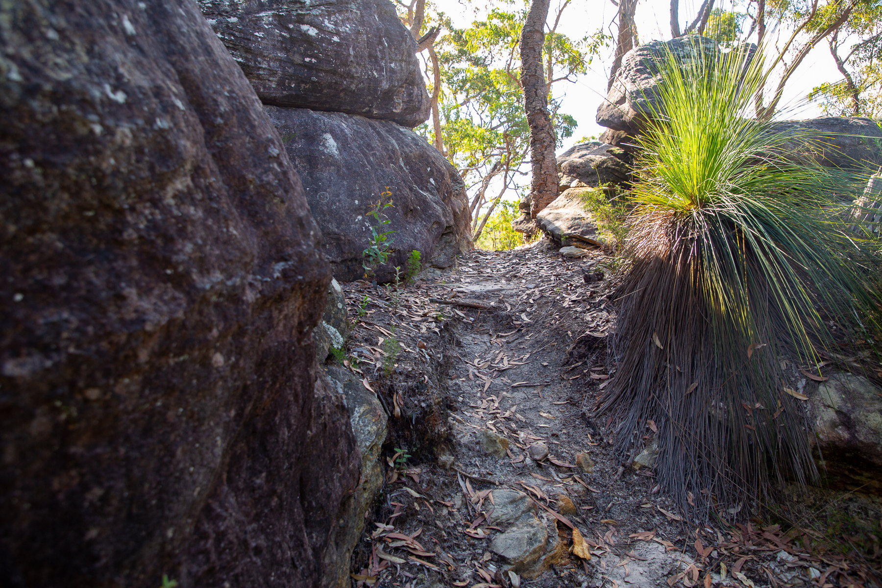 Gundah Ridge Track | Hiking the World
