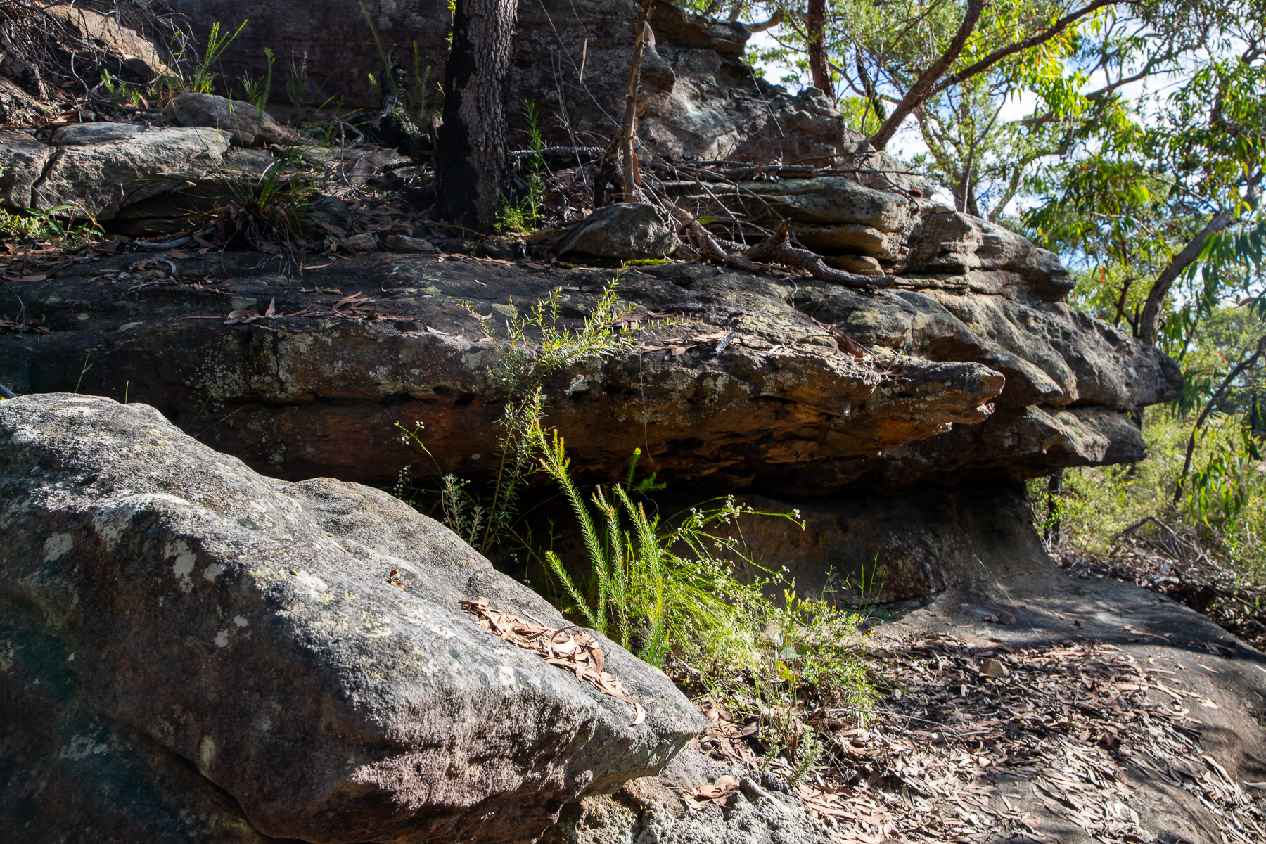 Gundah Ridge Track | Hiking the World