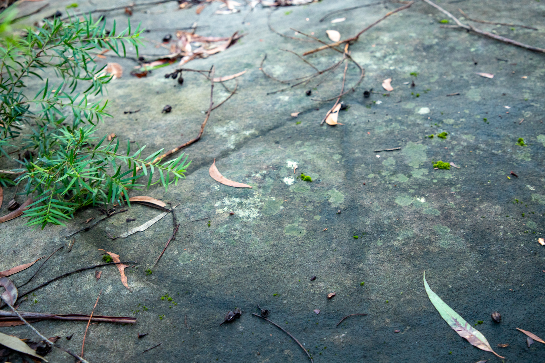 Commandment Rock (Lane Cove) | Hiking the World