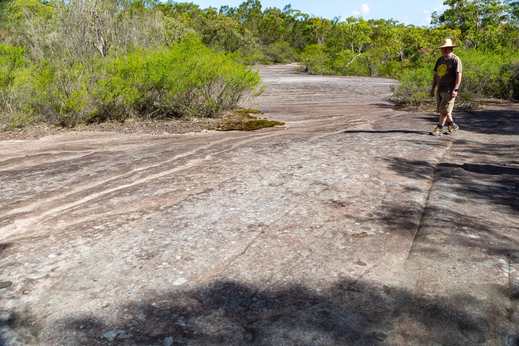 Mooney Mooney Aboriginal Area | Hiking the World