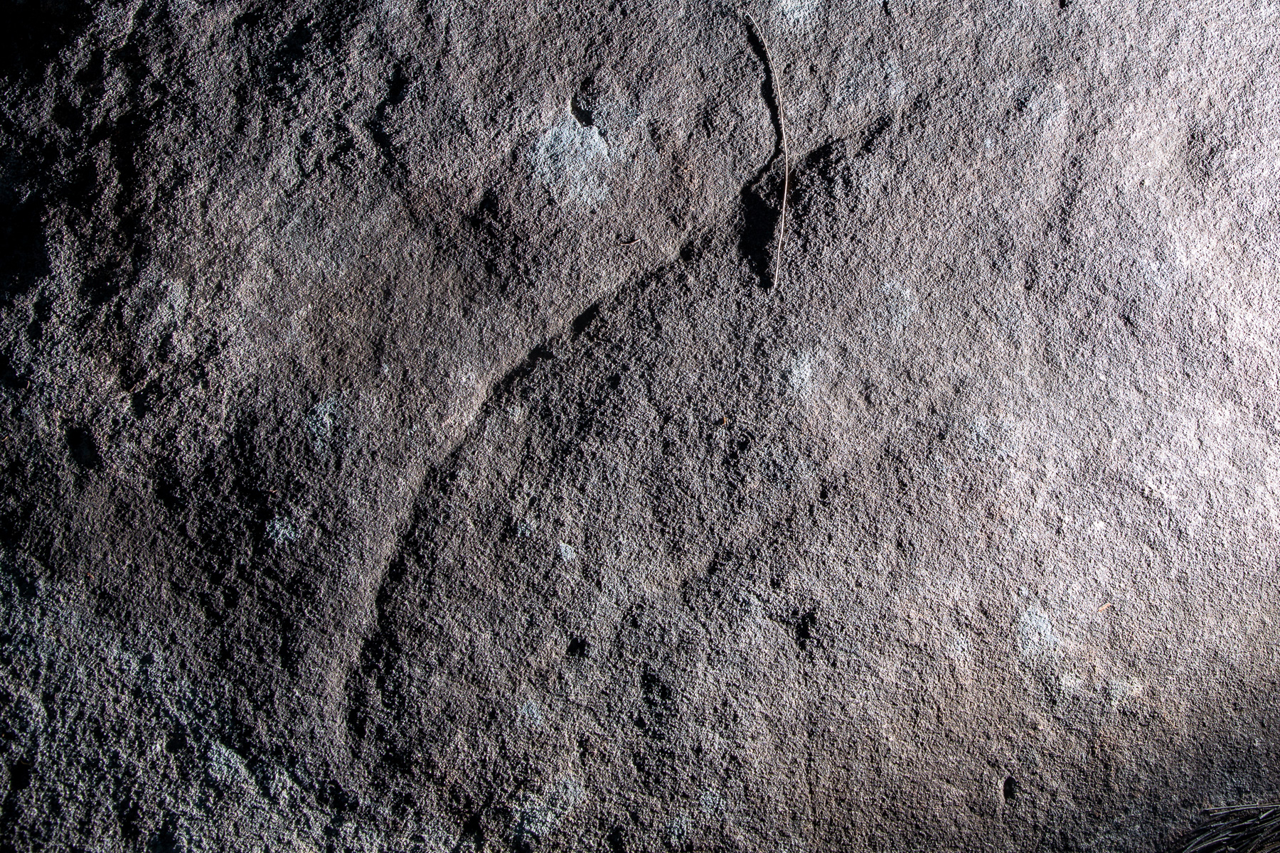 Coolamon Rock | Hiking the World