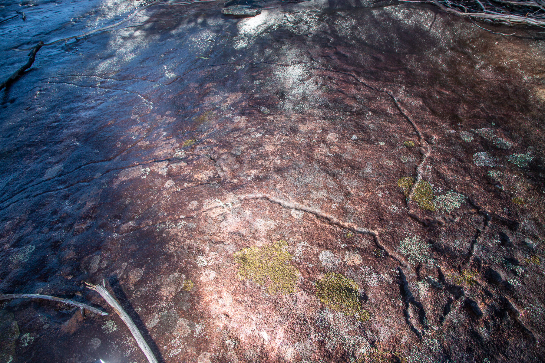 Mount Murray Anderson - Four Roos | Hiking the World