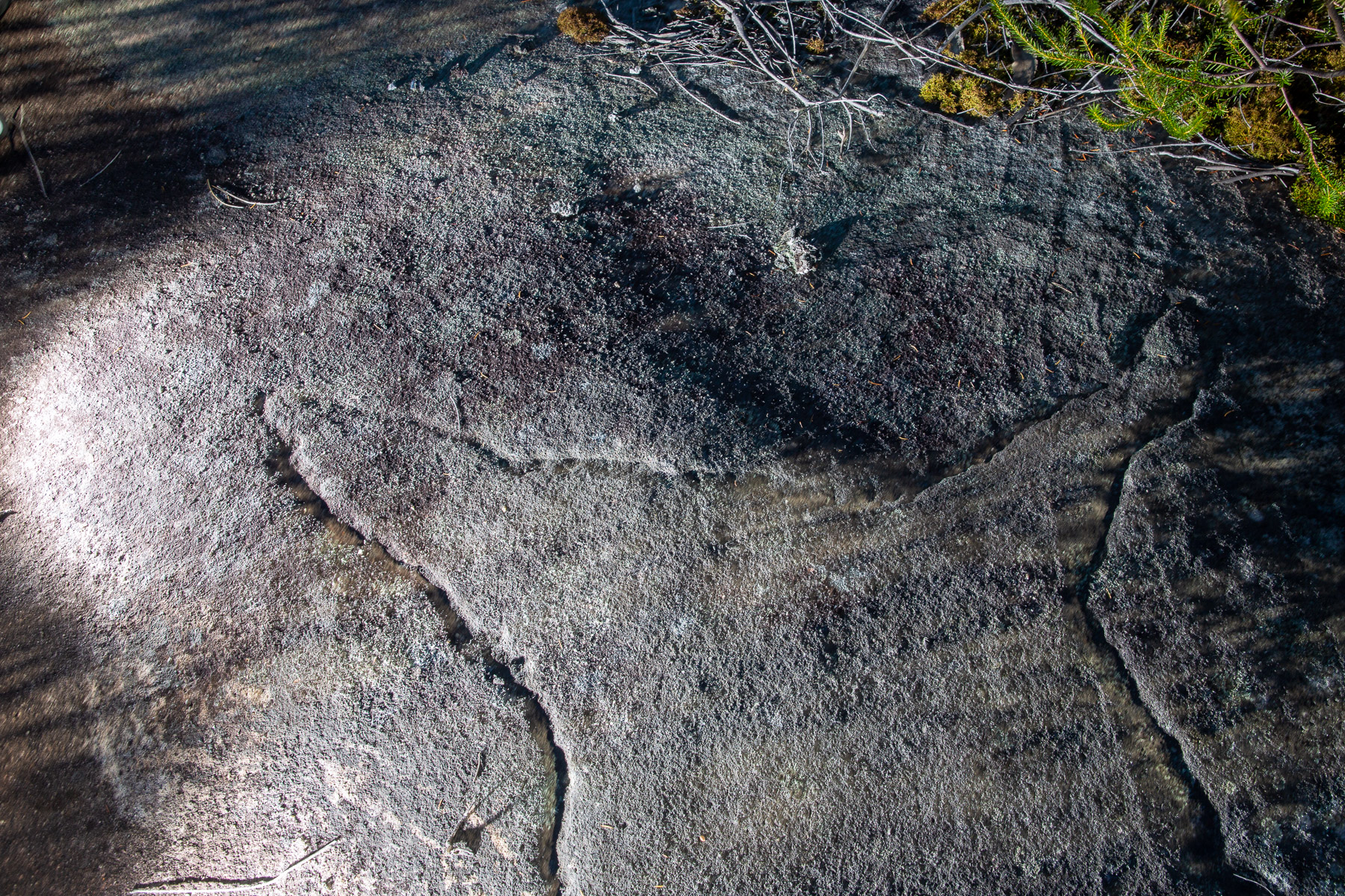 Dolphin Rock Aboriginal engraving | Hiking the World