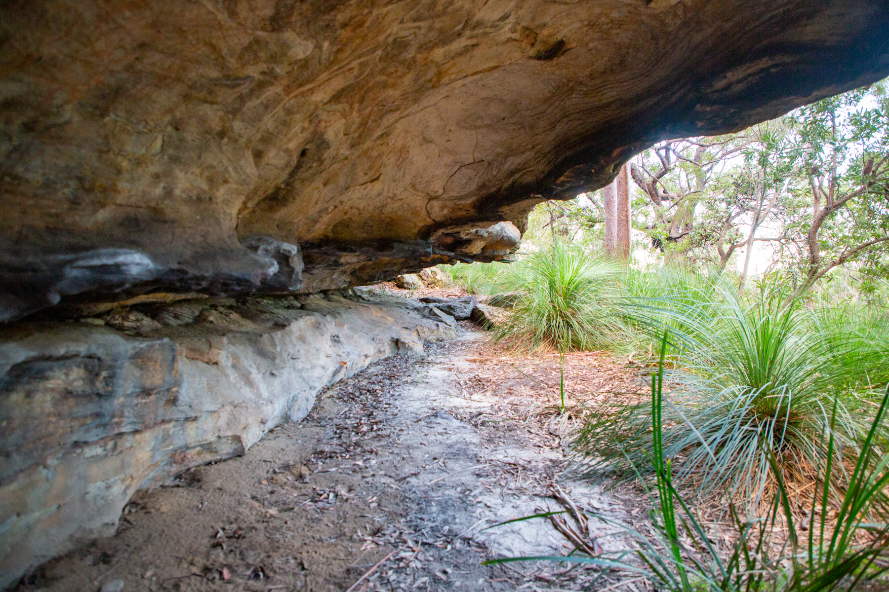 Cliff Oval Shelter | Hiking the World