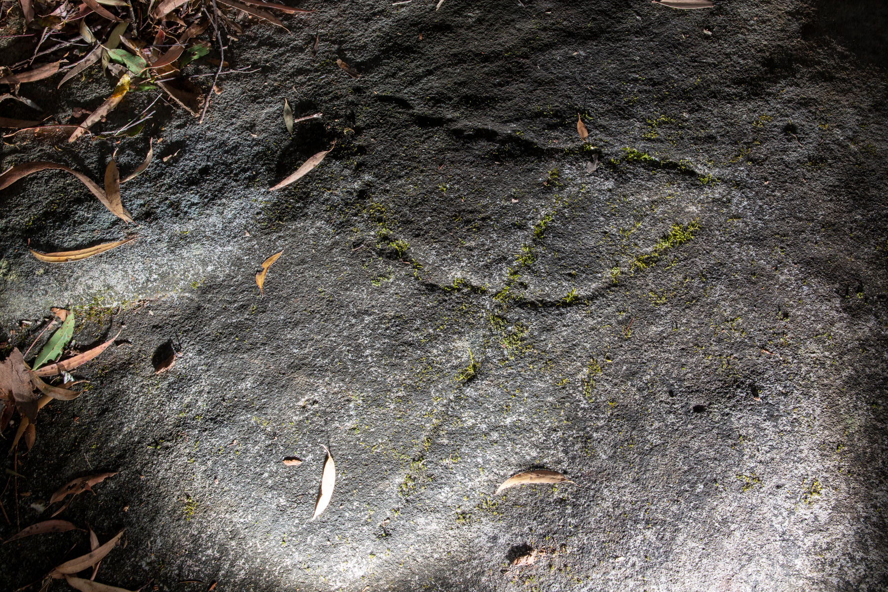 Commandment Rock (Lane Cove) | Hiking the World