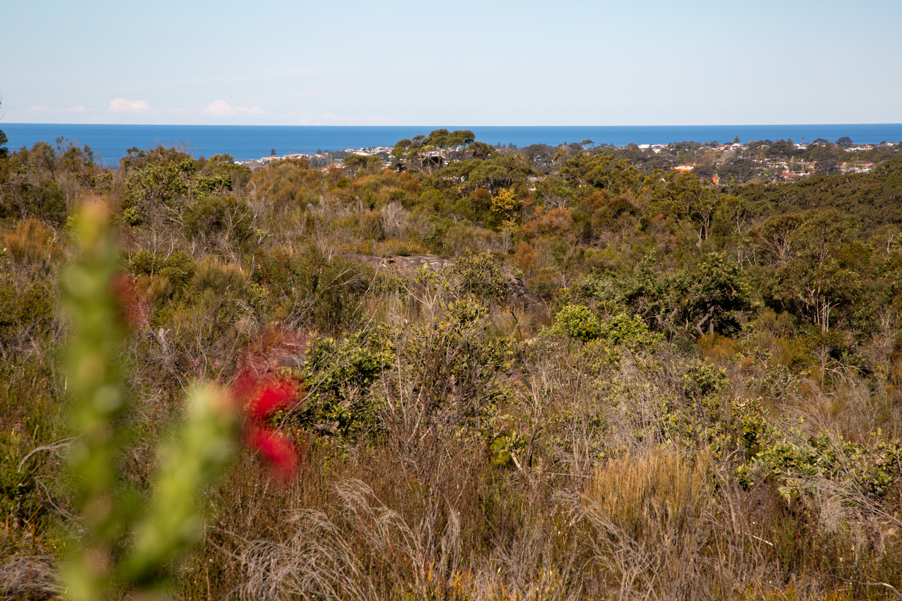 Exploring the south of Red Hill Reserve | Hiking the World