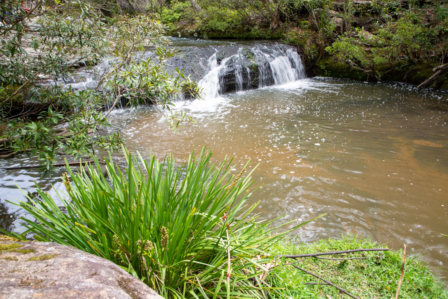 Chasing waterfalls in the Ku-ring-gai Wildflower Garden | Hiking the World