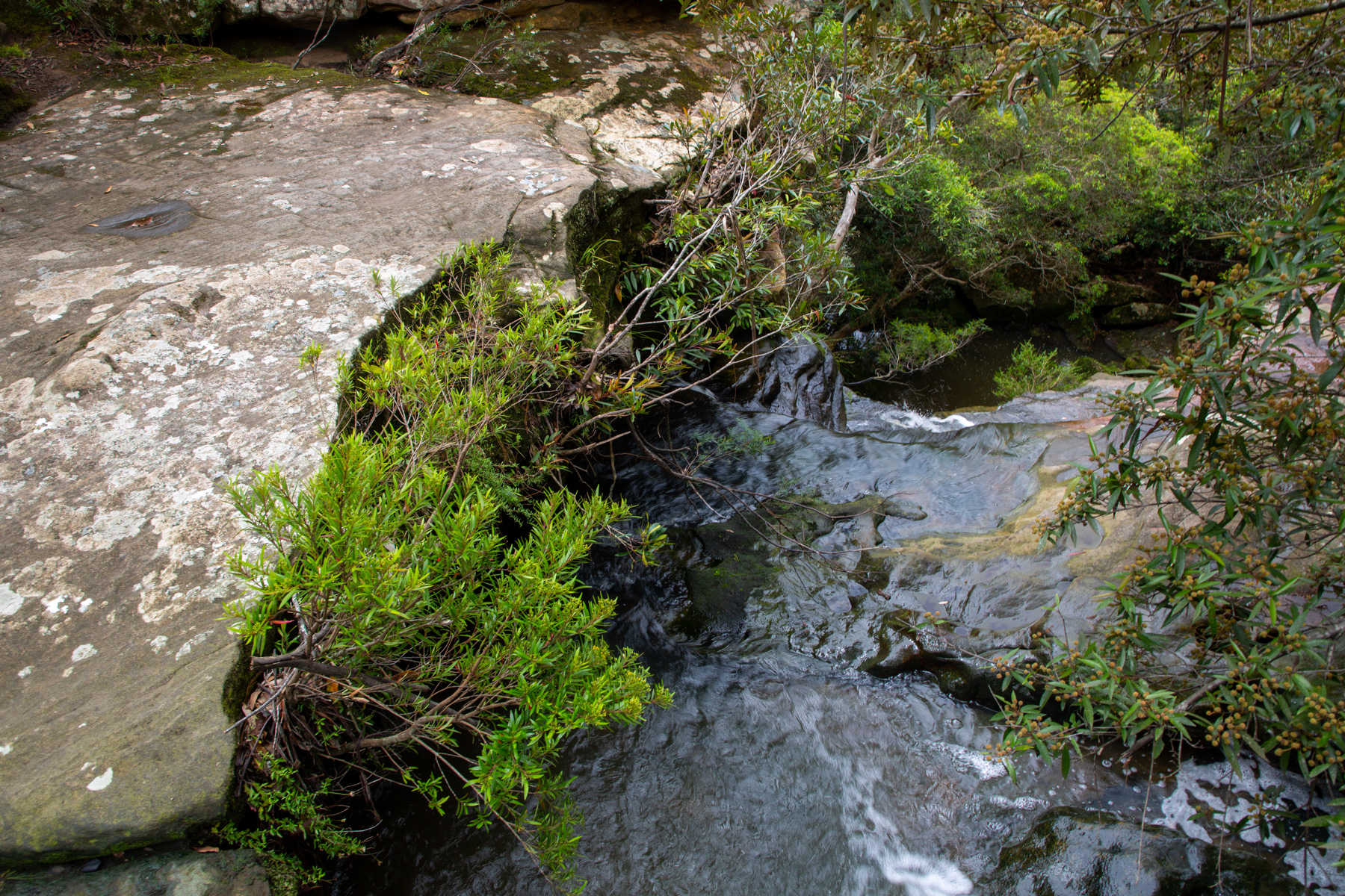 Chasing waterfalls in the Ku-ring-gai Wildflower Garden | Hiking the World
