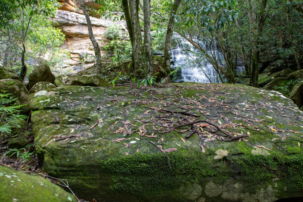 Chasing waterfalls in the Ku-ring-gai Wildflower Garden | Hiking the World