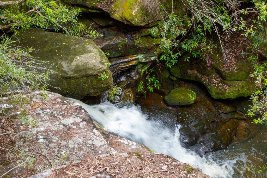 Chasing waterfalls in the Ku-ring-gai Wildflower Garden | Hiking the World