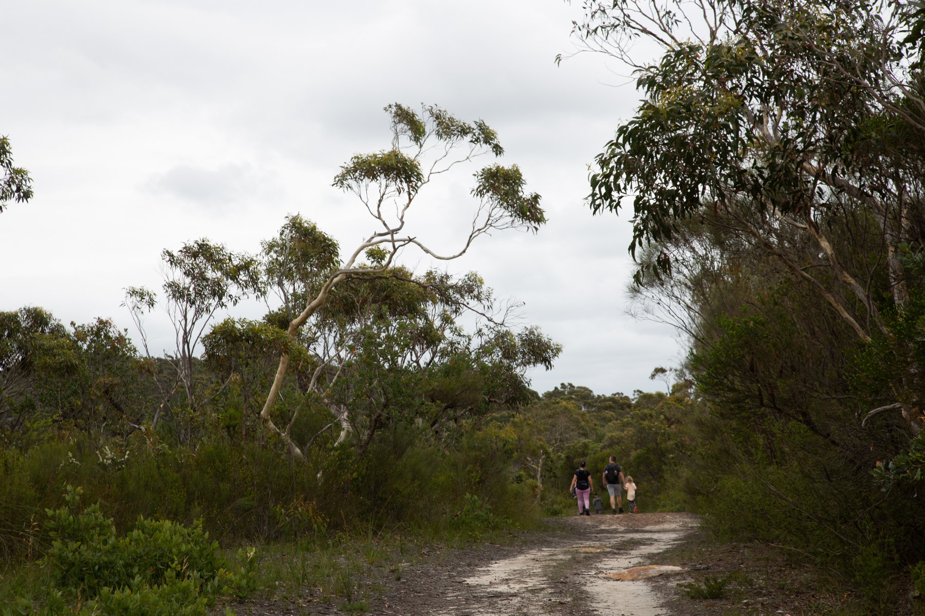 An off-track adventure from Yeomans Track (West Head) | Hiking the World
