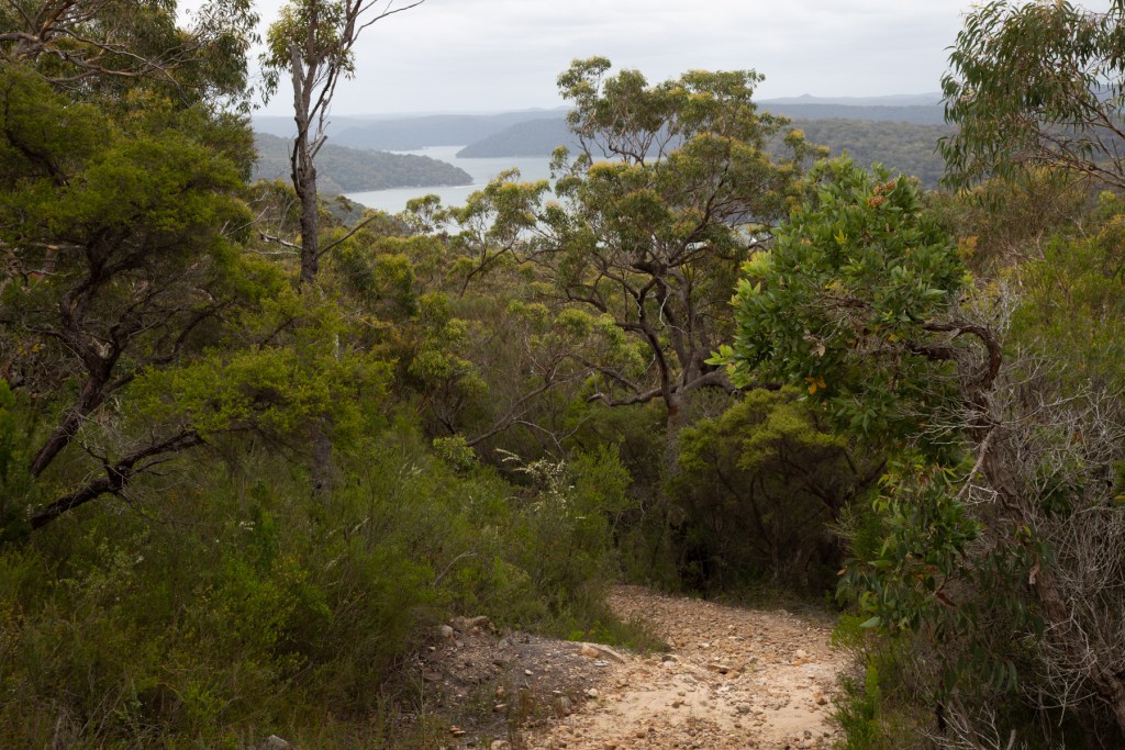 An off-track adventure from Yeomans Track (West Head) | Hiking the World