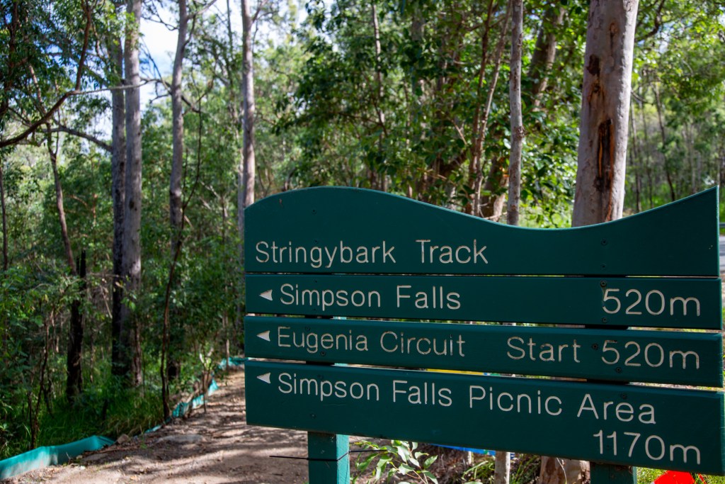 A long-ish loop through Mt Coot-tha Reserve in Brisbane | Hiking the World