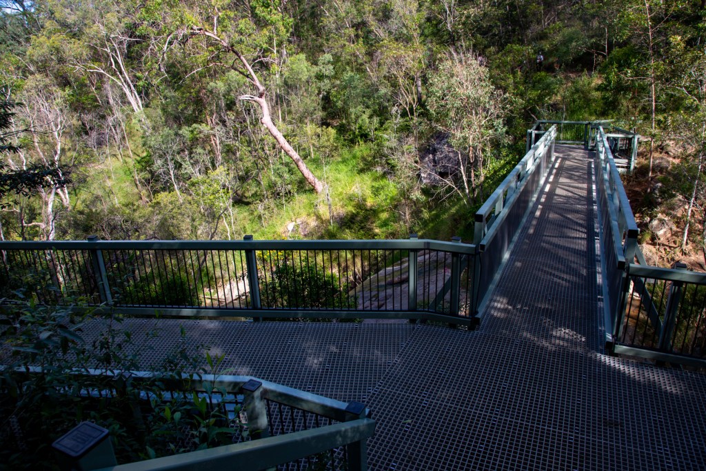 A long-ish loop through Mt Coot-tha Reserve in Brisbane | Hiking the World