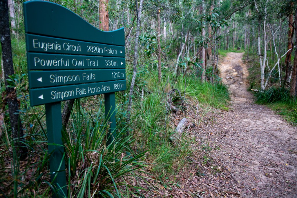 A long-ish loop through Mt Coot-tha Reserve in Brisbane | Hiking the World