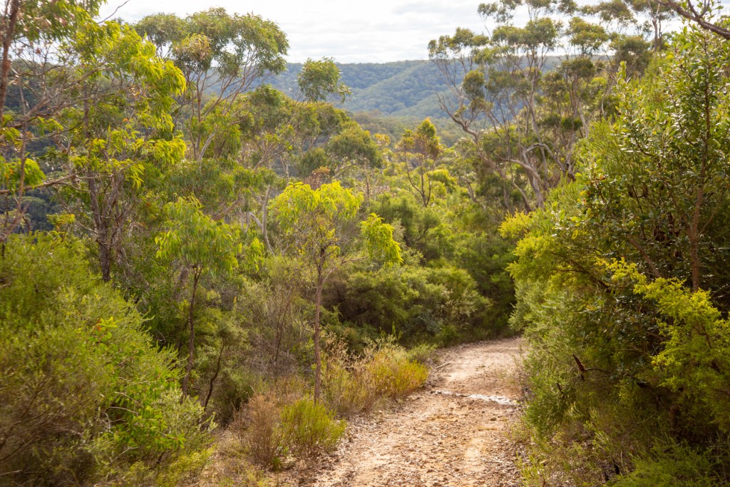 Exploring the ruins of the Fretus Hotel on Calabash Point | Hiking the ...