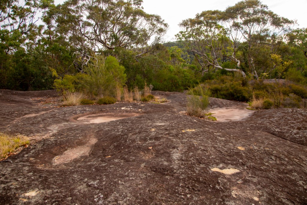 Exploring the ruins of the Fretus Hotel on Calabash Point | Hiking the ...