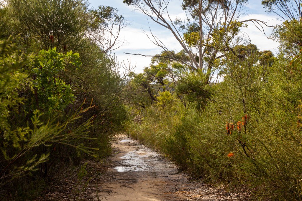 Exploring the ruins of the Fretus Hotel on Calabash Point | Hiking the ...
