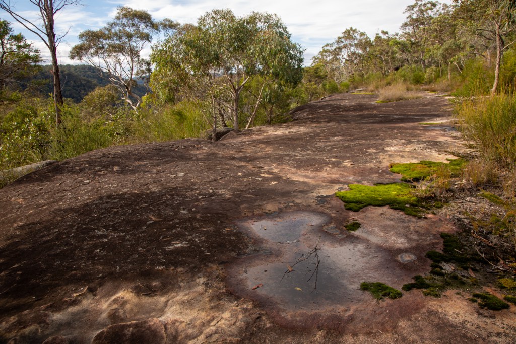 Exploring the ruins of the Fretus Hotel on Calabash Point | Hiking the ...