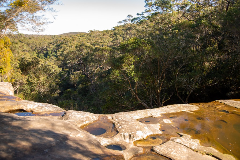 Somersby Falls - a spectacular waterfall on the Central Coast | Hiking ...