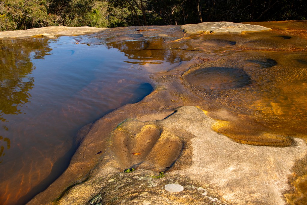 Somersby Falls - a spectacular waterfall on the Central Coast | Hiking ...