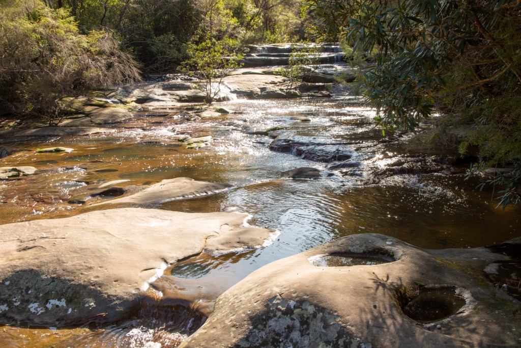Somersby Falls - a spectacular waterfall on the Central Coast | Hiking ...