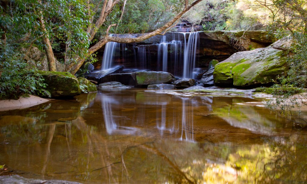 Somersby Falls - a spectacular waterfall on the Central Coast | Hiking ...